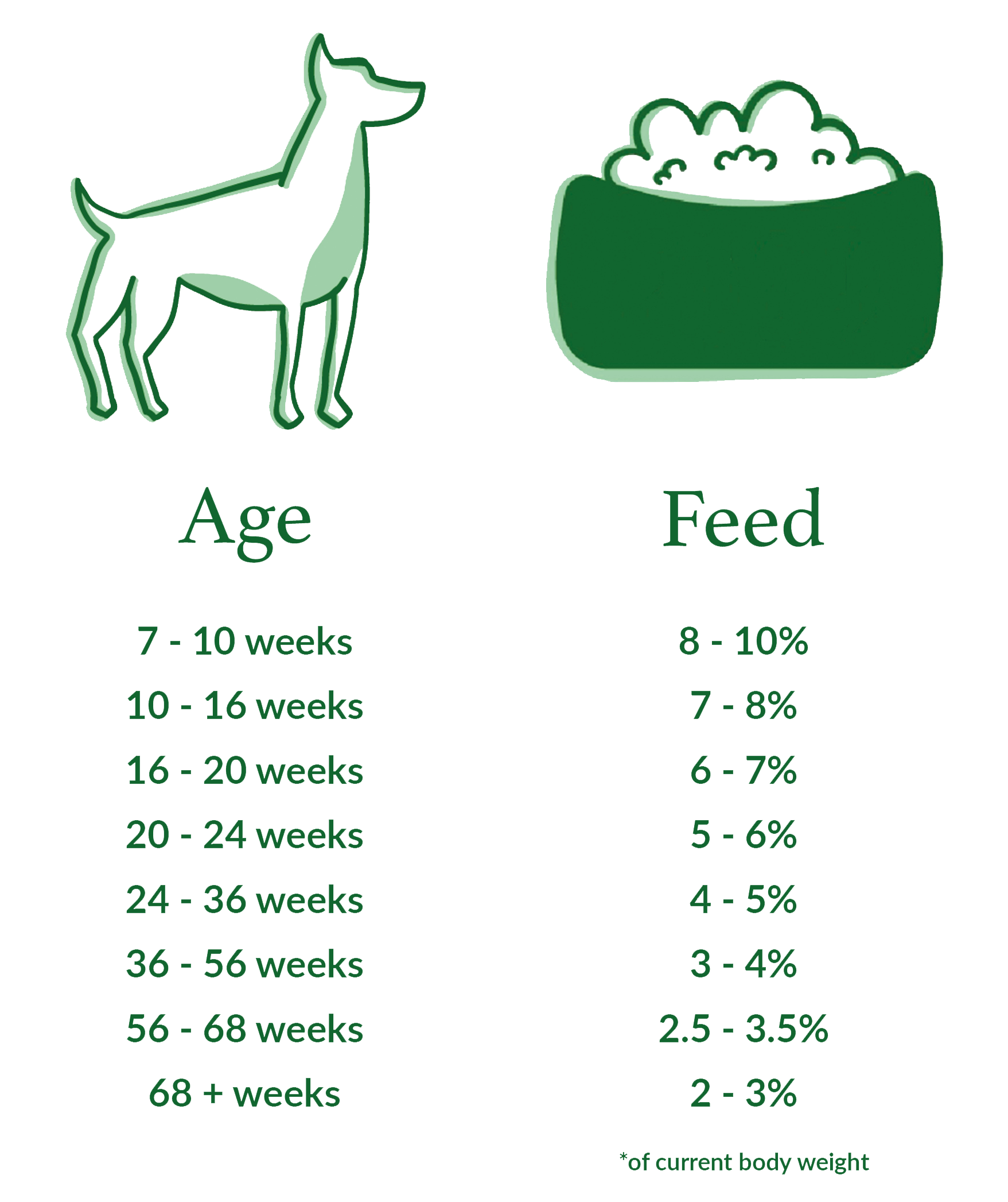 Feeding Guide – Raw Dogg